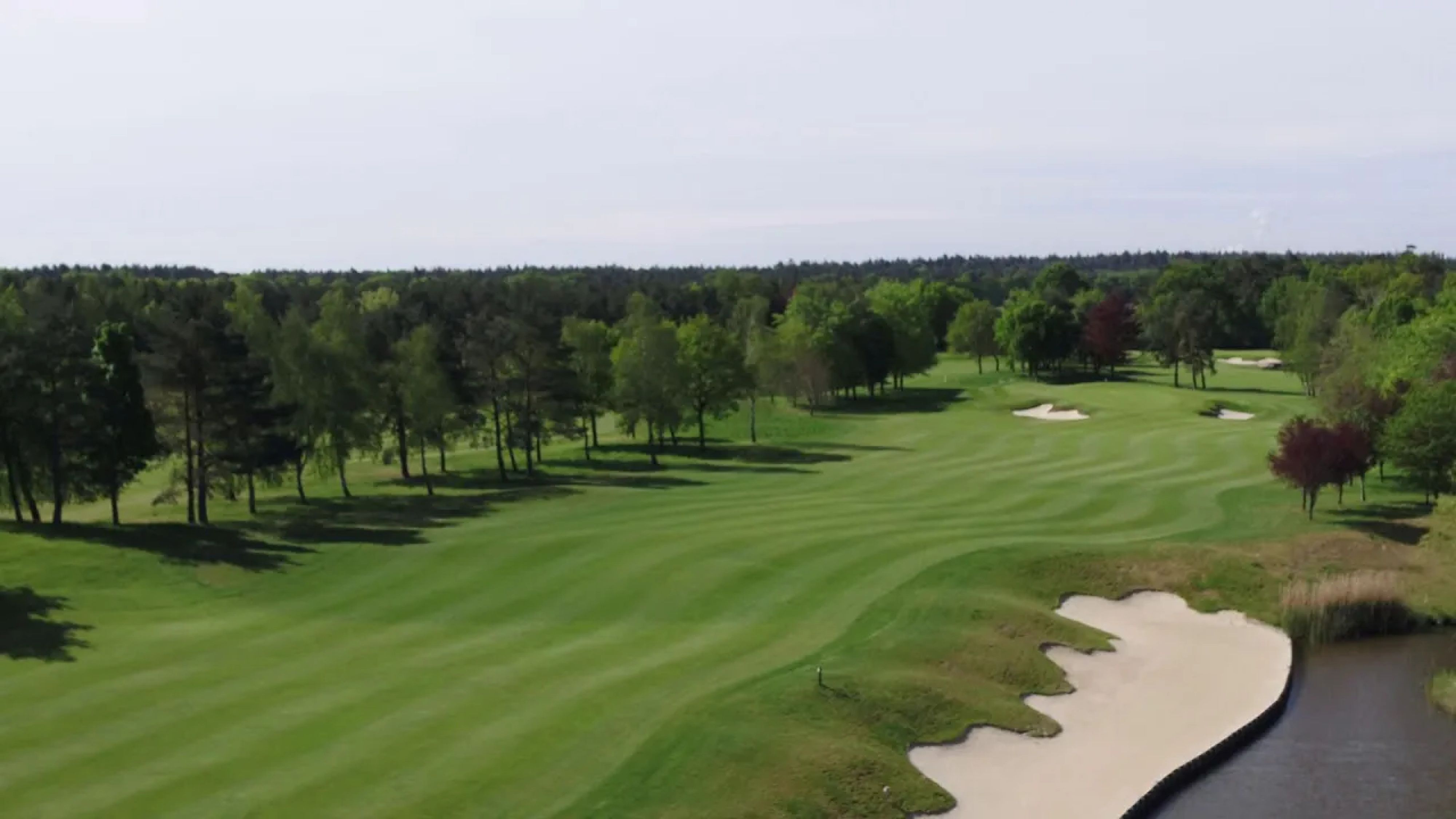 European Championship Golf